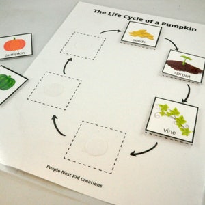 Pumpkins Printable Bundle Fall Autumn Pumpkins - Etsy