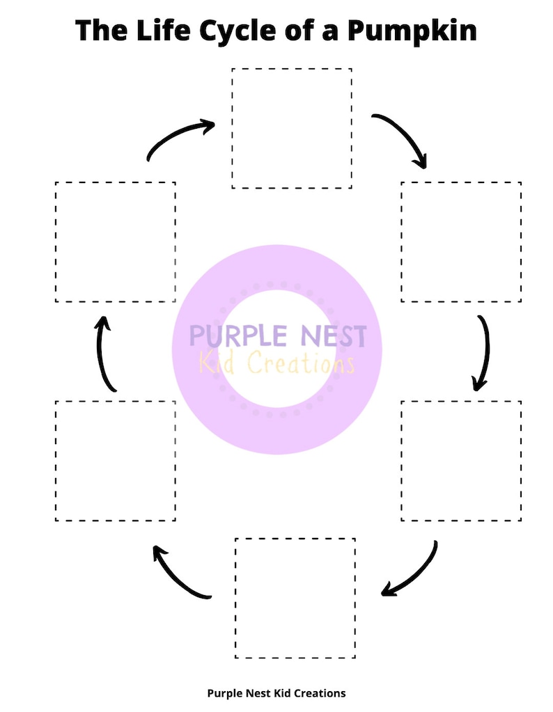 Life Cycle of a Pumpkin Worksheet Pumpkin Life Cycle Fall - Etsy