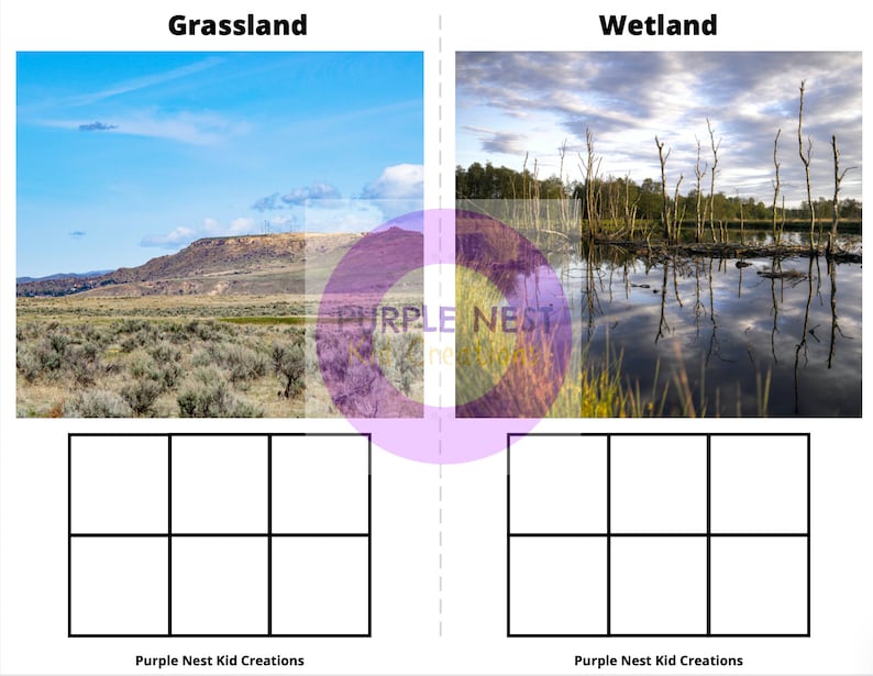 Animal Habitat Sorting Activity: Geography Printable (PDF Download) - Etsy