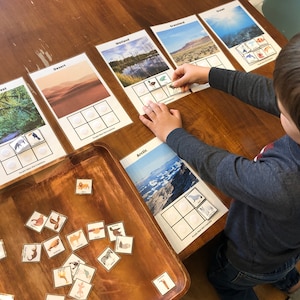 Animal Habitat Sorting Activity: Geography Printable (PDF Download) - Etsy