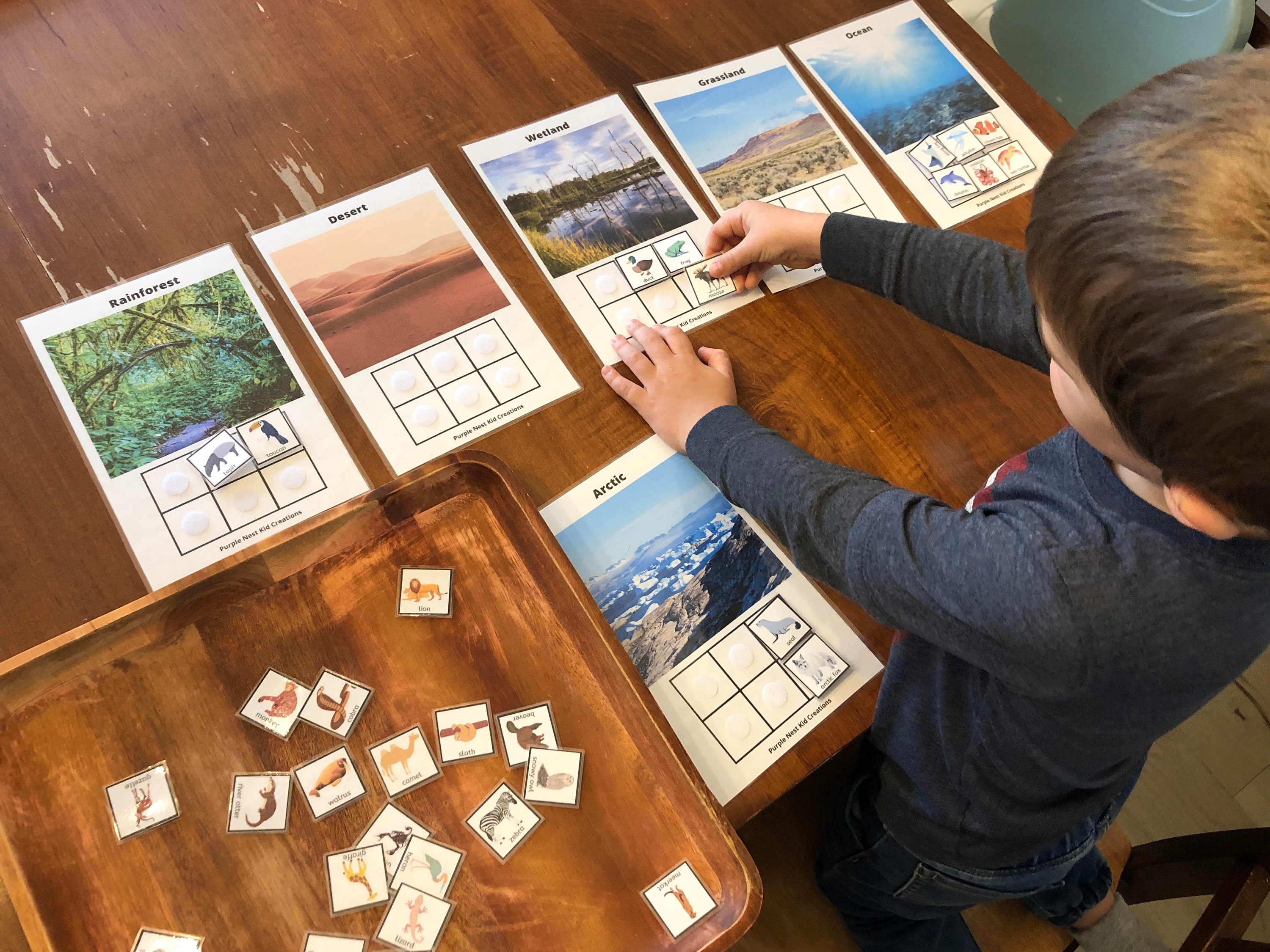 Animal Habitat Sorting Activity: Geography Printable (PDF Download) - Etsy