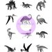 Dinosaur Shadow Match Worksheet, Dinosaur Matching Game, Dinosaurs ...