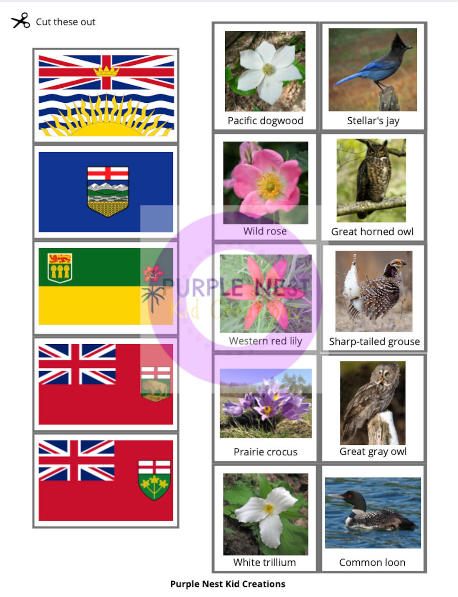 Canadian Fact Worksheets, Flash Cards, Provinces, Territories, Matching ...