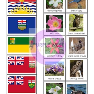 Canadian Fact Worksheets, Flash Cards, Provinces, Territories, Matching ...