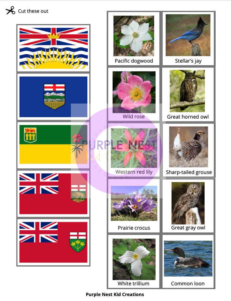 Canadian Fact Worksheets Flash Cards Provinces Territories - Etsy