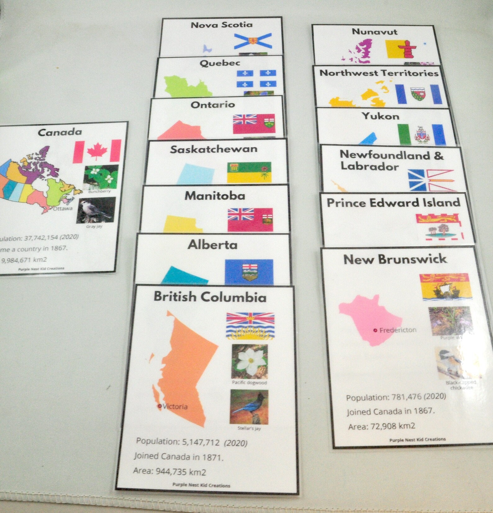 Canadian Fact Worksheets, Flash Cards, Provinces, Territories, Matching ...