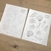 Seashell Tracing and Colouring, Tracing Shells, Coloring, Ocean ...