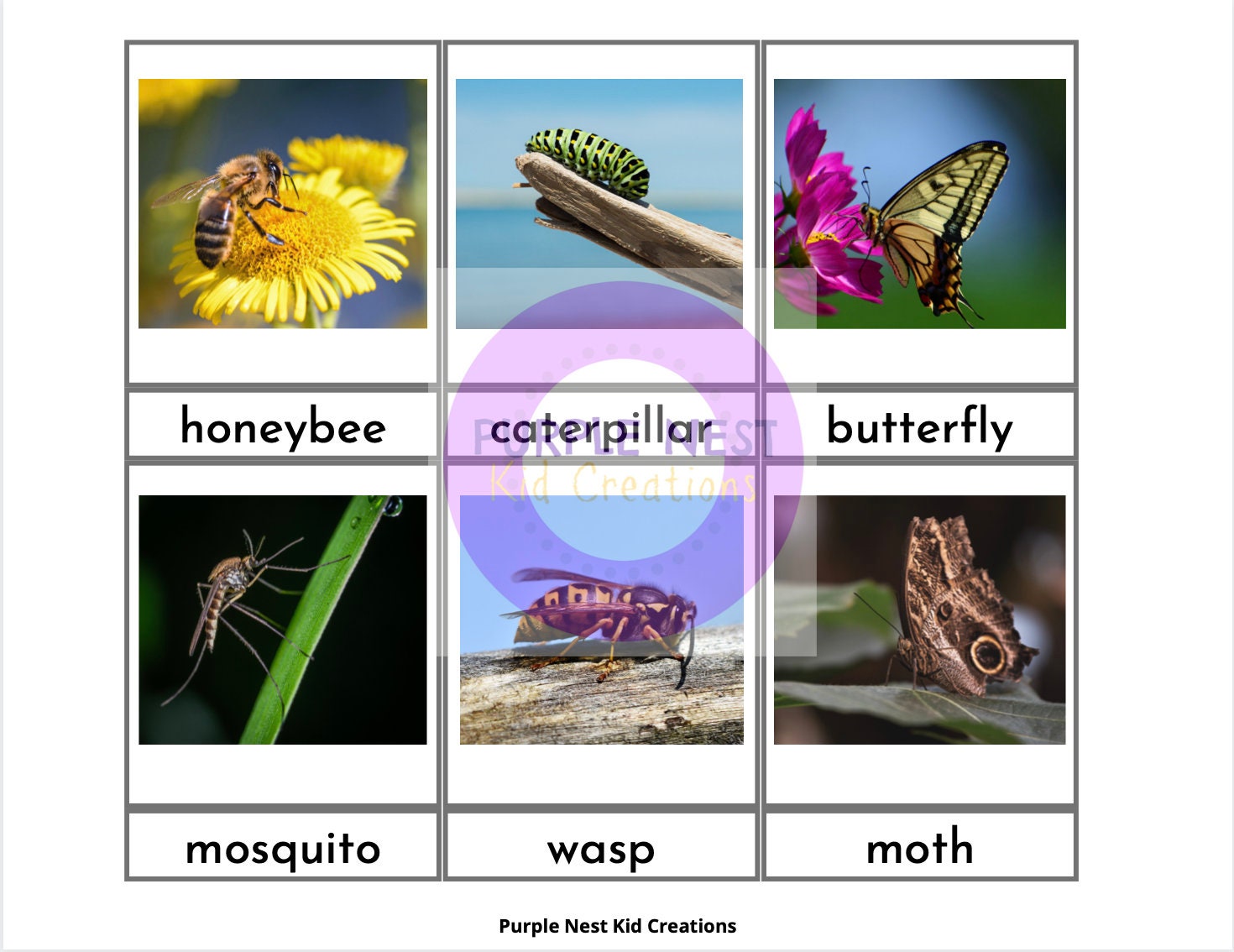 Insects Flash Cards Bugs Insects Montessori Nomenclature | Etsy