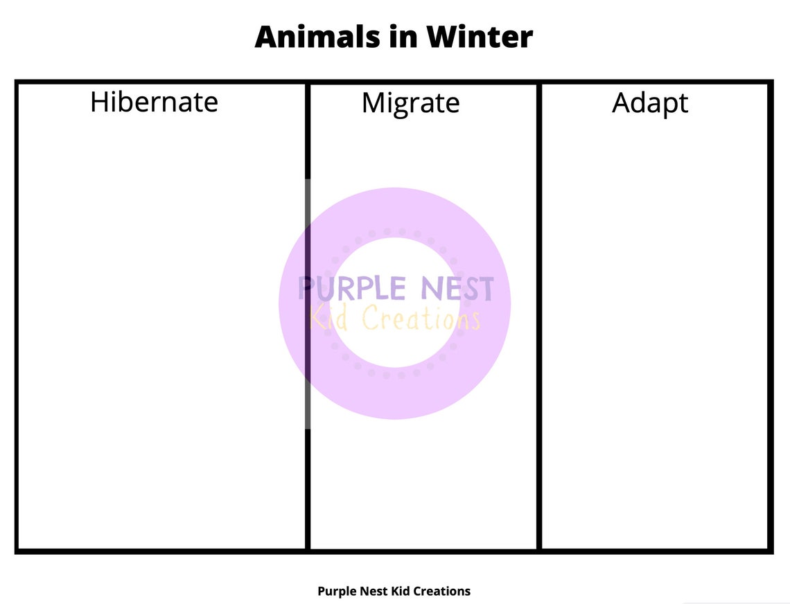 Animals in Winter Sorting Worksheet Hibernate Migrate Adapt - Etsy