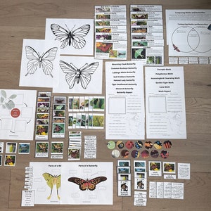 Butterfly and Moth Unit Study Bundle, Spring Unit Study, Spring ...