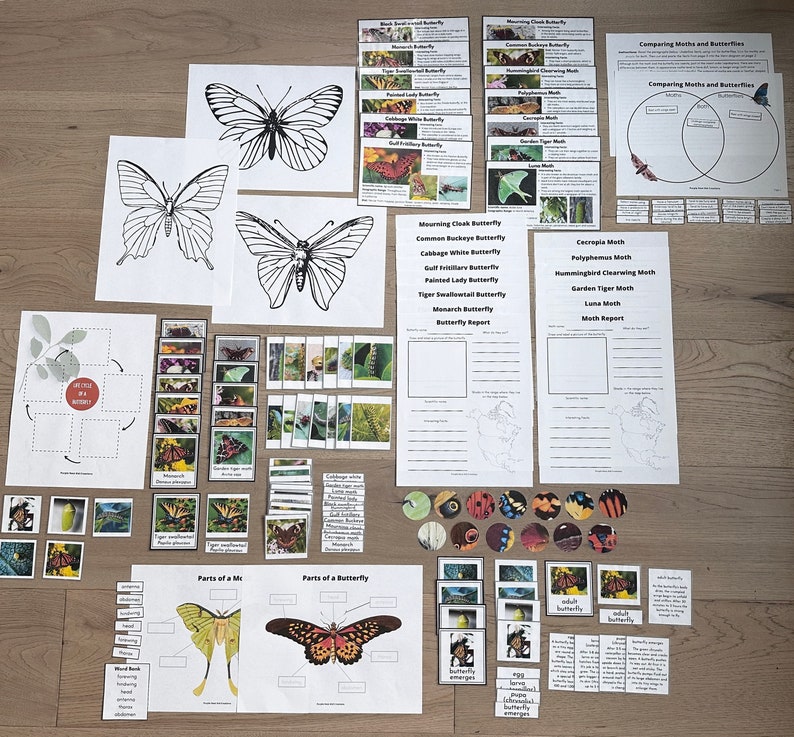 Butterfly and Moth Unit Study Bundle Spring Unit Study - Etsy