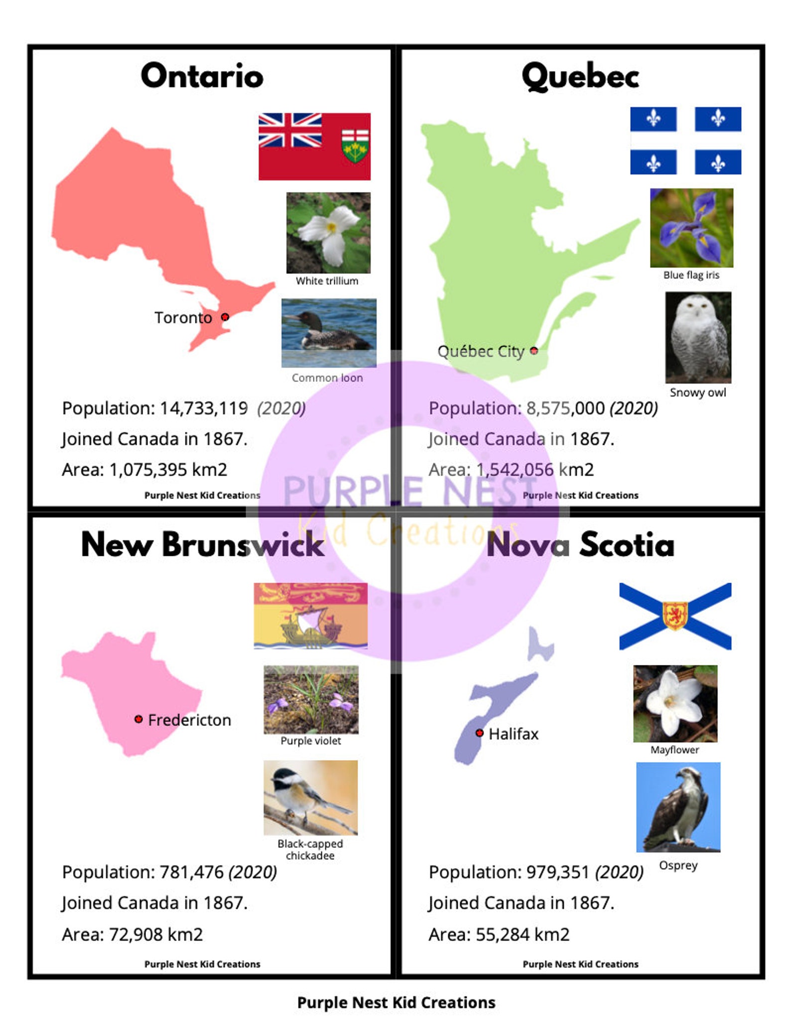 Canadian Fact Worksheets Flash Cards Provinces Territories - Etsy