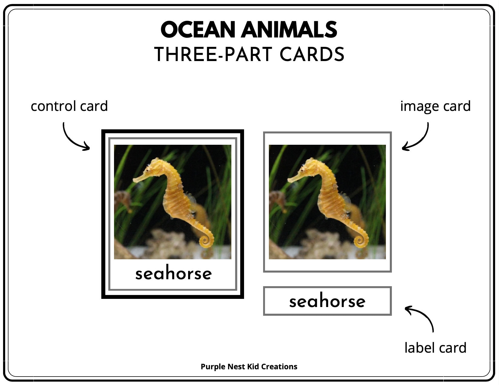 Ocean Animals Flash Cards: Montessori Three-part Cards (digital ...