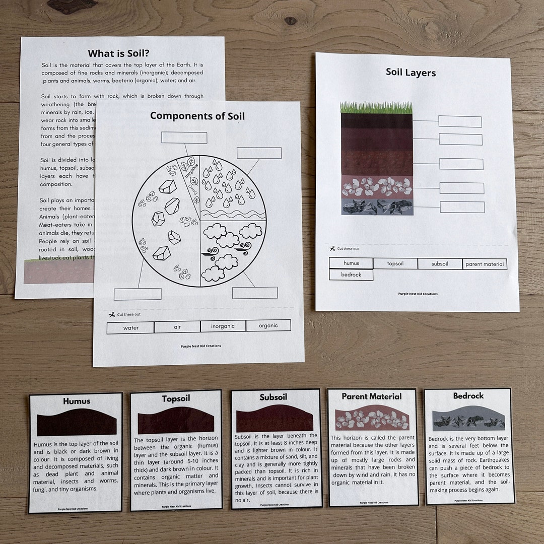 Soil Worksheets Bundle: Soil Layers, Types, Components (PDF Printable ...