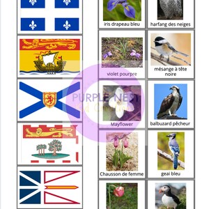 French Canadian Fact Worksheets, Flash Cards, Provinces, Territories ...