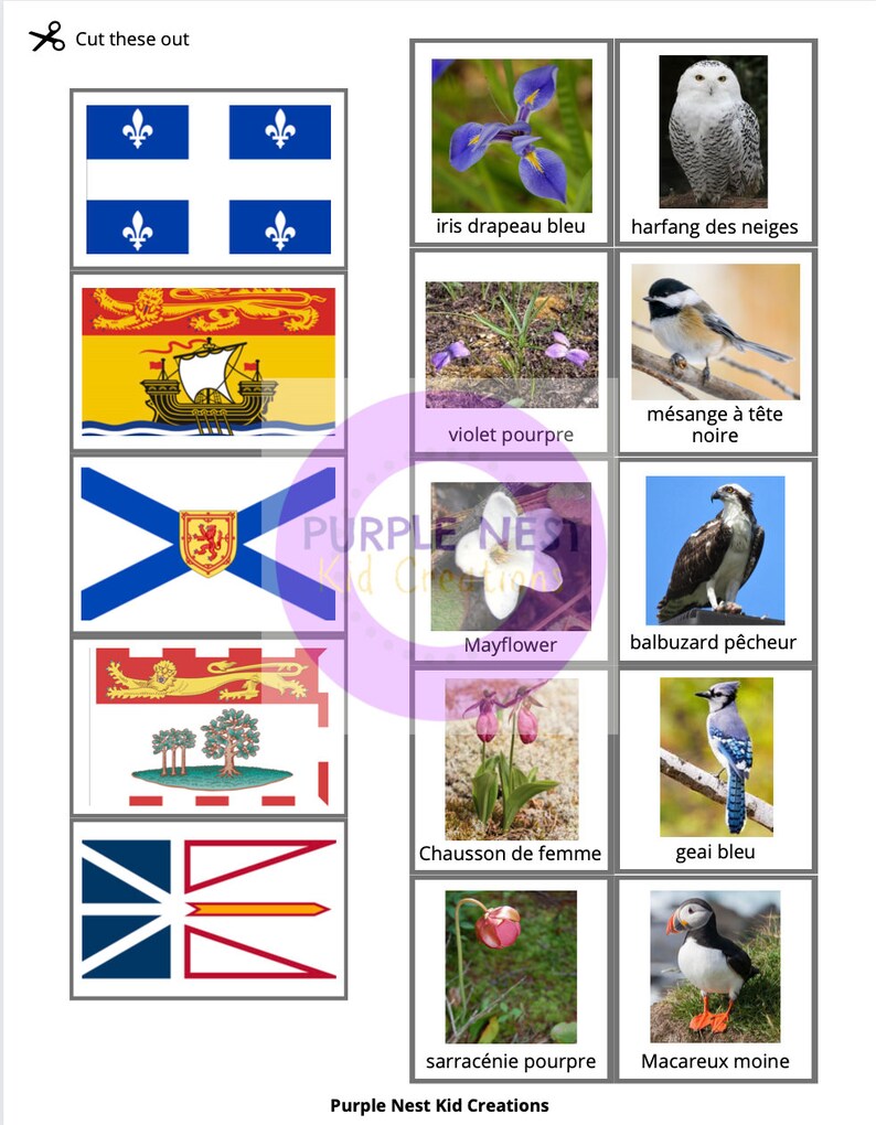 French Canadian Provinces & Territories Fact Worksheets (PDF Printable ...