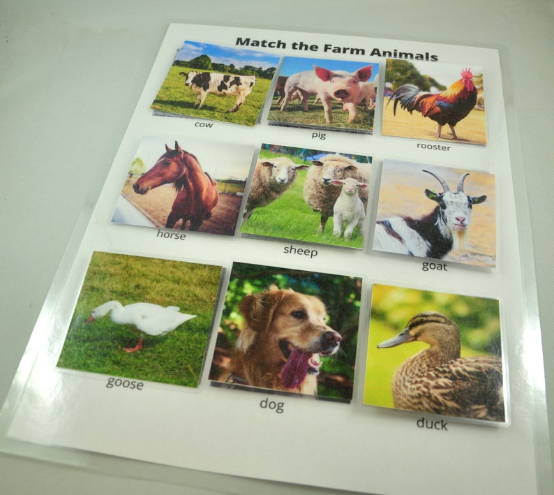 Match the Farm Animals Worksheet Animal Matching Game - Etsy