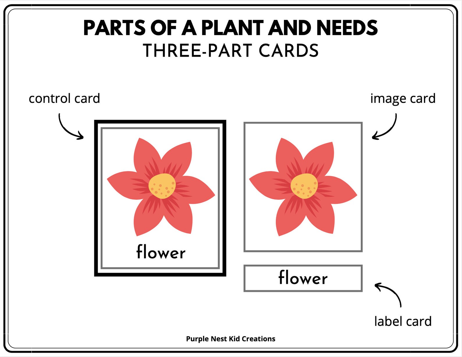 Plant Parts Flash Cards: Montessori Flower Diagram (educational ...