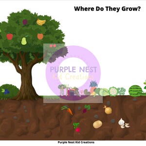 Fruits & Vegetables Sorting Mats: Educational Game (digital Download ...