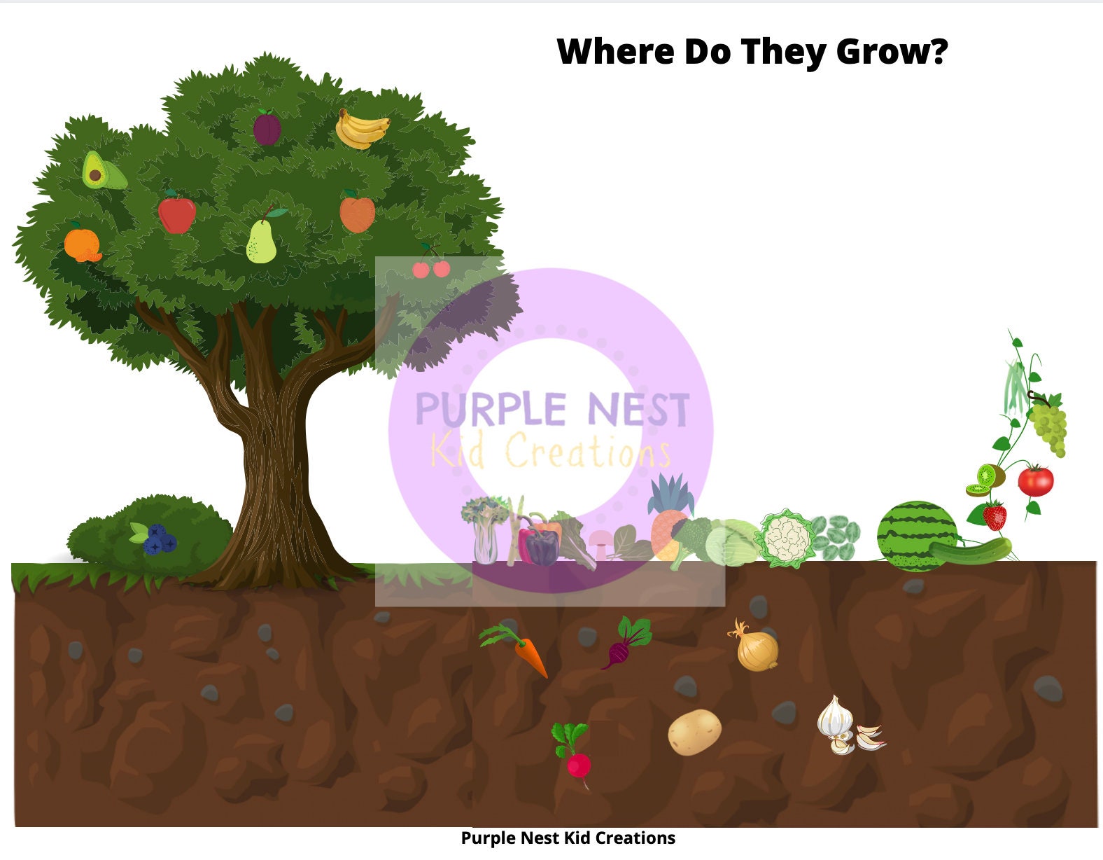 Fruits & Vegetables Sorting Mats: Educational Game (digital Download ...