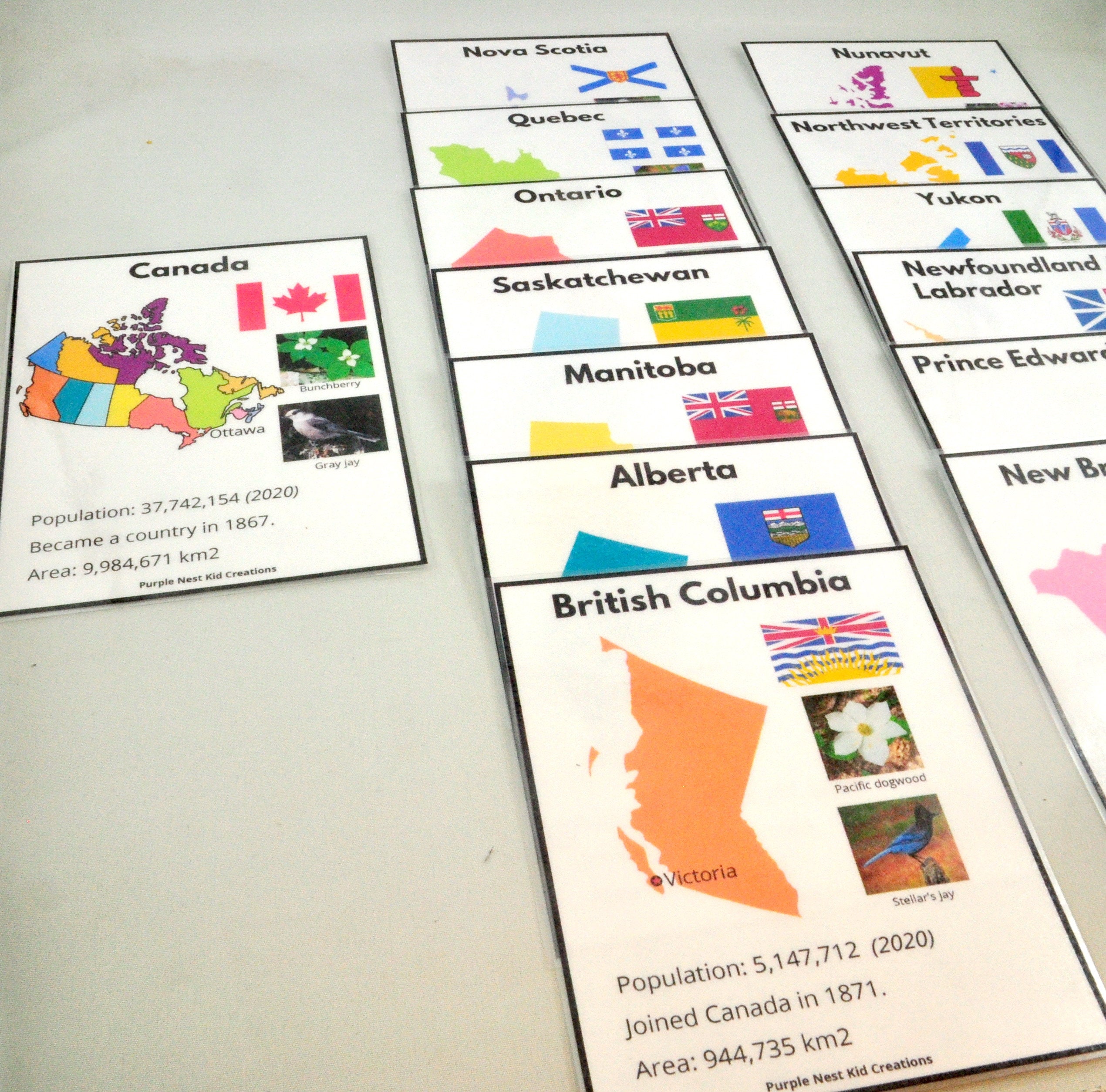 Canadian Fact Worksheets Flash Cards Provinces Territories | Etsy Canada