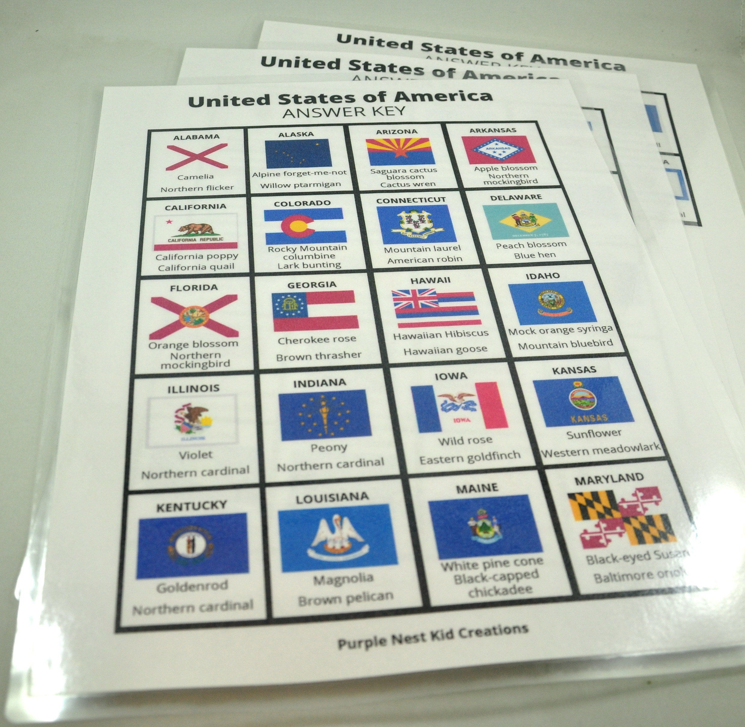 United States of America Bundle USA Map Geography States - Etsy