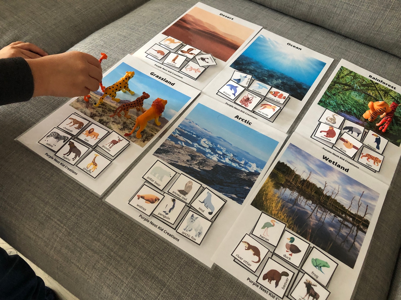 Animals Habitat Sorting Worksheets Habitat Sorting Mats - Etsy Canada