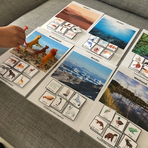 Animal Habitat Sorting Activity: Geography Printable (PDF Download) - Etsy