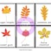 Autumn Leaves Flash Cards, Autumn, Fall Leaves, Montessori ...