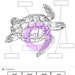 Ocean Animals Anatomy Worksheets: Educational Diagrams (PDF Pattern) - Etsy