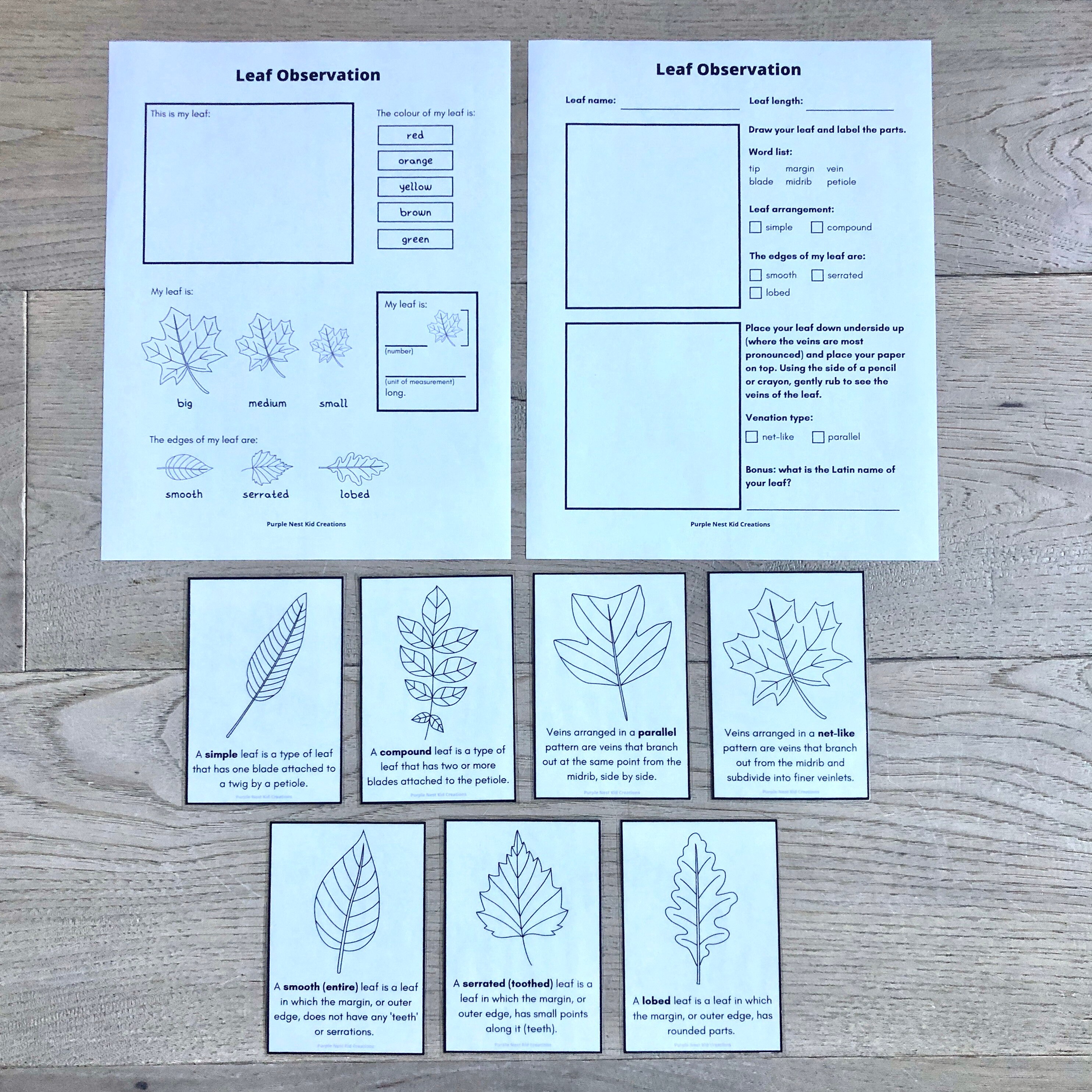Leaf Observation Worksheets & Fact Cards: Autumn Nature Study (PDF) - Etsy