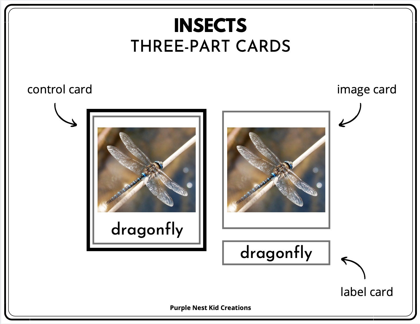 Insects Three-part Cards: Montessori Educational Printable (PDF ...
