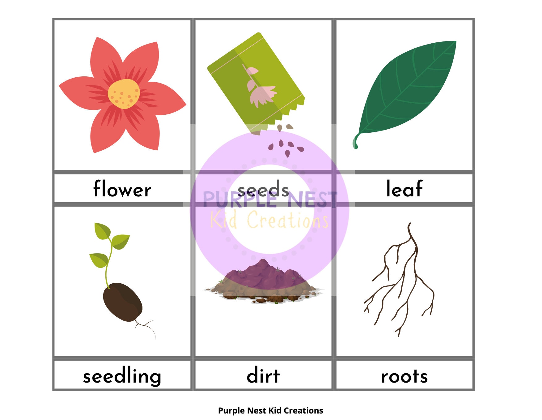 Plant Parts and Needs Flash Cards Flower Diagram Montessori | Etsy