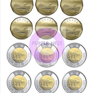 Money Counting Worksheet, Canadian Coins, Counting Game, Educational ...