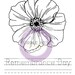 Remembrance Day Unit Study: Poppy Anatomy, Poem, History (digital ...