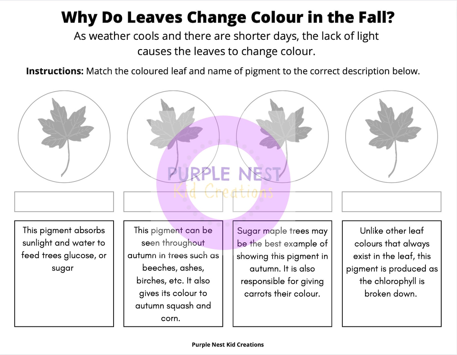 Why Leaves Change Colour Worksheet: Fall Activity (PDF Pattern) - Etsy