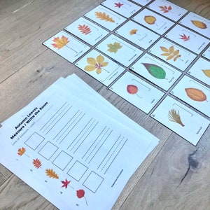Autumn Leaves Bundle, Autumn Leaves Unit Study, Autumn Activities, Fall ...