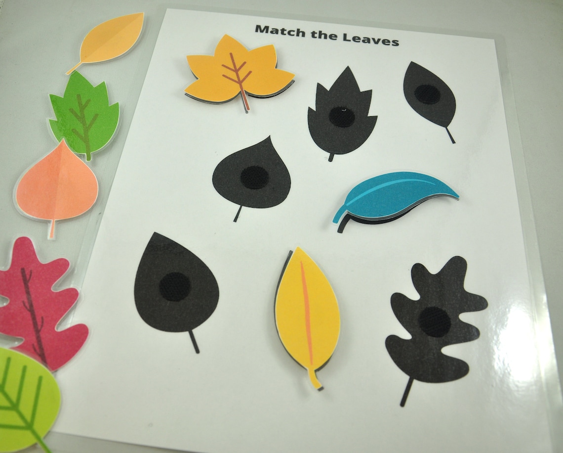 Match the Leaves Worksheet Leaves Matching Game Educational - Etsy