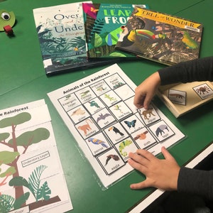 Animals of the Rainforest Worksheet, Rainforest Habitat, Geography ...
