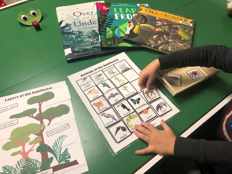 Animals of the Rainforest Worksheet Rainforest Habitat - Etsy