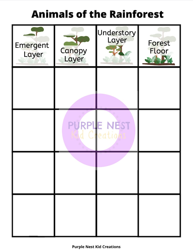 Animals of the Rainforest Worksheet Rainforest Habitat - Etsy