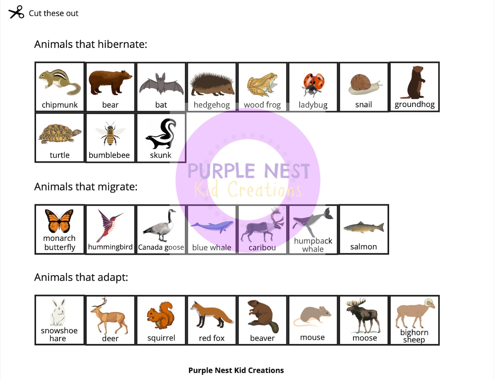 Animals in Winter Sorting Worksheet Hibernate Migrate Adapt - Etsy