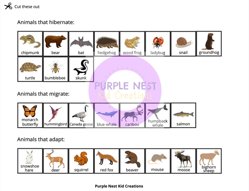 Animals in Winter Sorting Worksheet Hibernate Migrate Adapt - Etsy