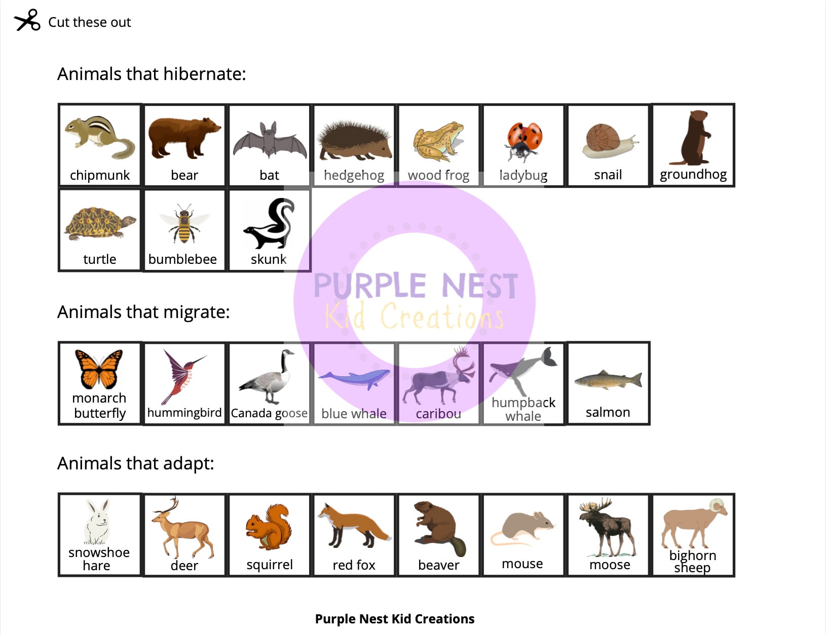Animals in Winter Sorting Worksheet Hibernate Migrate Adapt - Etsy