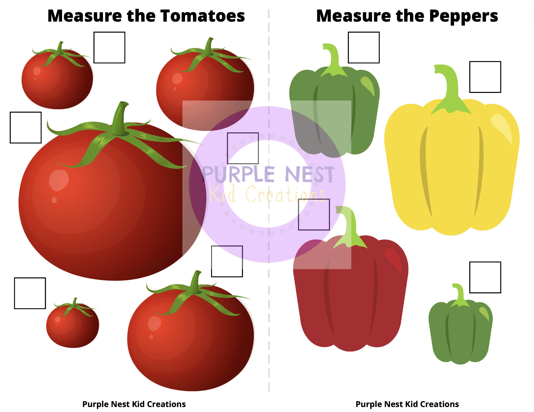 Measure the Fruits and Vegetables Measurement Activity Math | Etsy