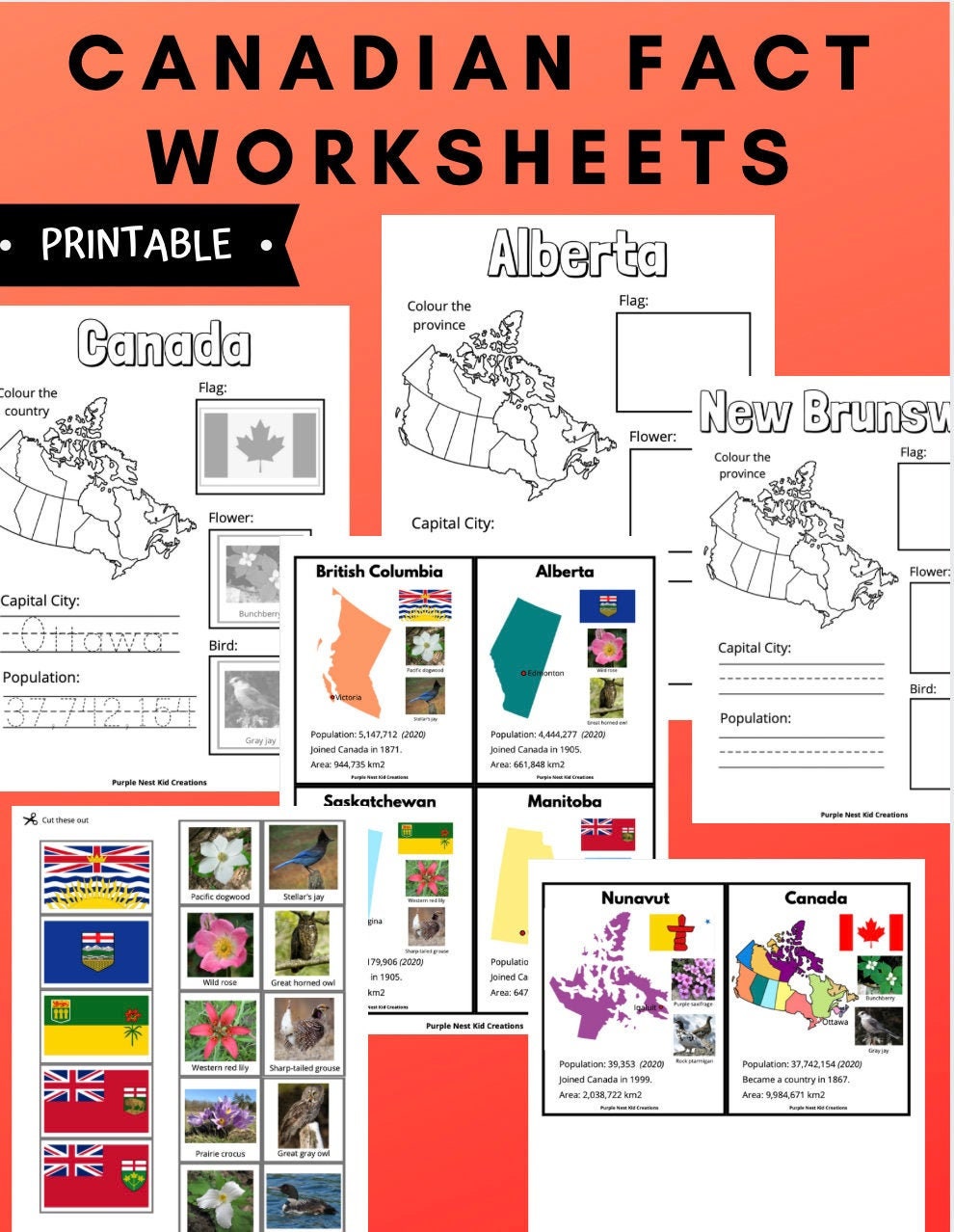 Canadian Fact Worksheets Flash Cards Provinces Territories - Etsy