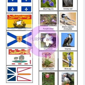 Canadian Fact Worksheets, Flash Cards, Provinces, Territories, Matching ...