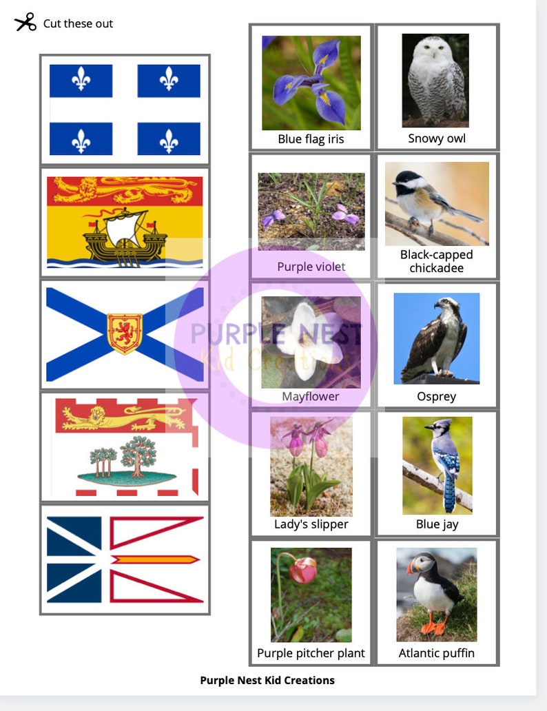 Canadian Fact Worksheets Flash Cards Provinces Territories - Etsy