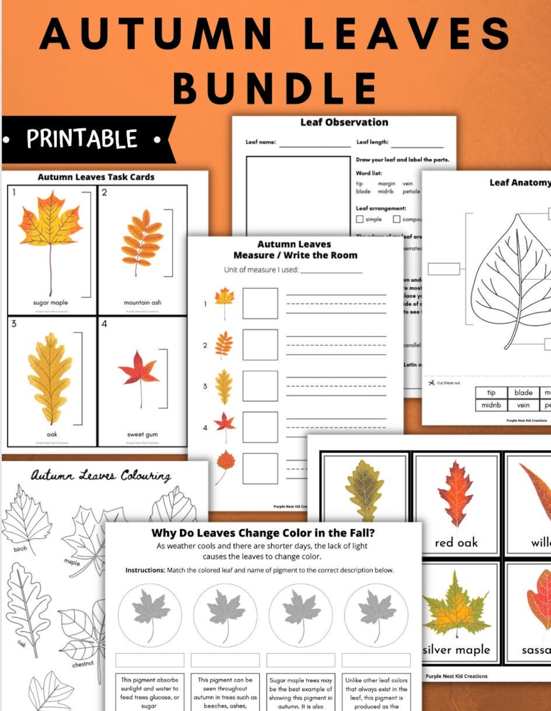 Autumn Leaves Bundle, Autumn Leaves Unit Study, Autumn Activities, Fall ...