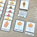 Autumn Leaves Flash Cards, Autumn, Fall Leaves, Montessori ...